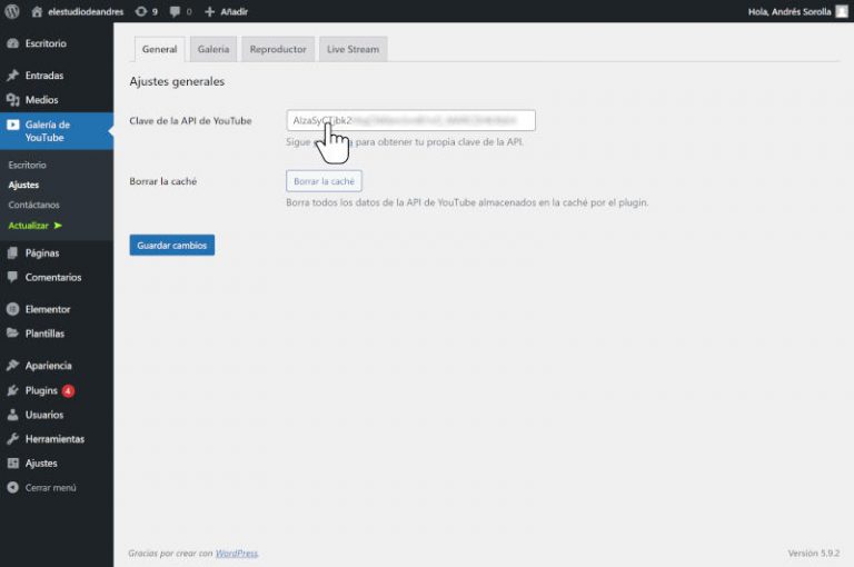 Como obtener la API Key de YouTube - El Estudio de Andrés | Diseño Web ...
